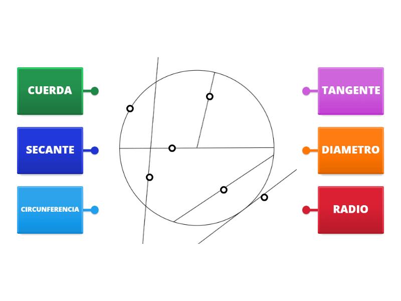EL CIRCULO Y SUS ELEMENTOS - Labelled diagram