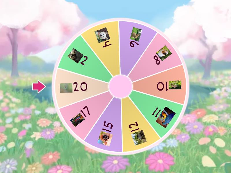 tt1 unit 5 animals - Random wheel