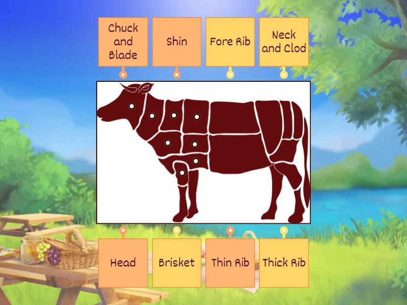 Anatomise This! Beef Forequarter Edition. - Labelled diagram