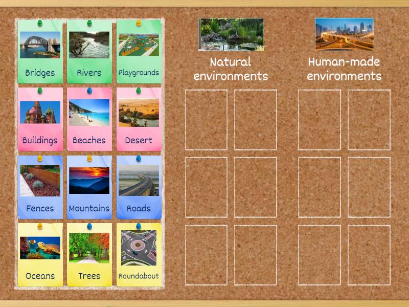 Natural v Human-made environments - Group sort