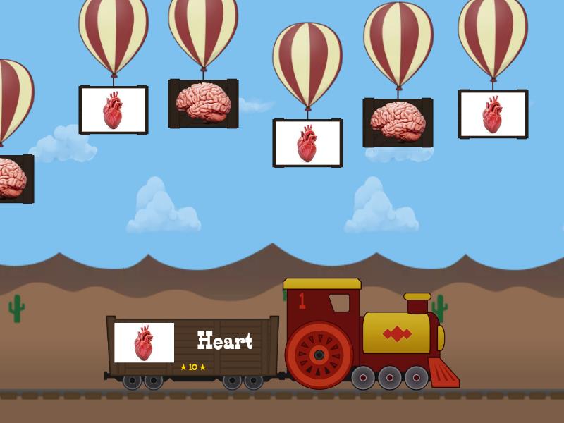 What's inside of our bodies? - Balloon pop