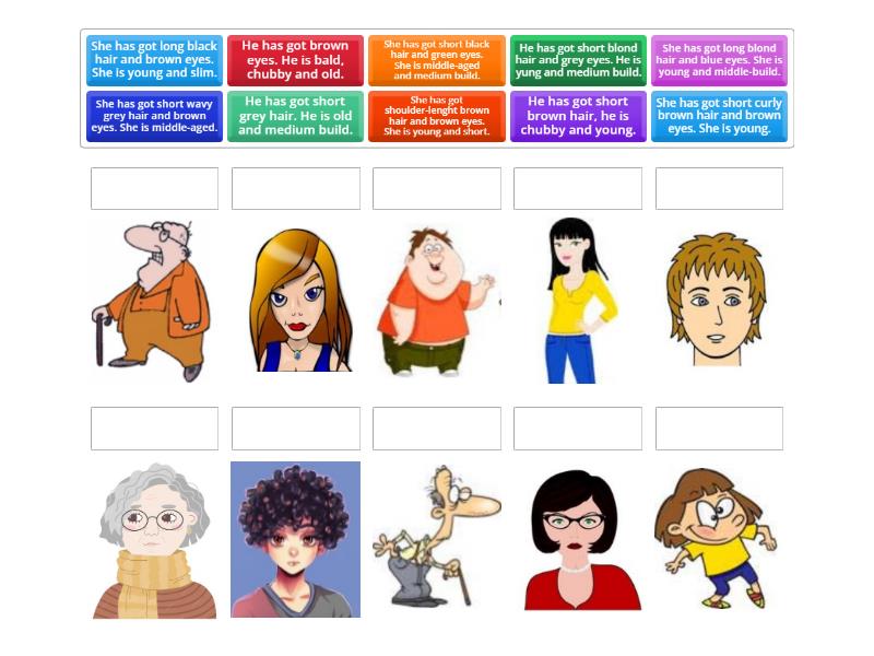 Physical description exercise - Match up