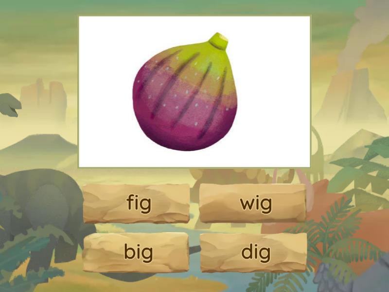 Phonics: fig - wig - big - dig - Cuestionario