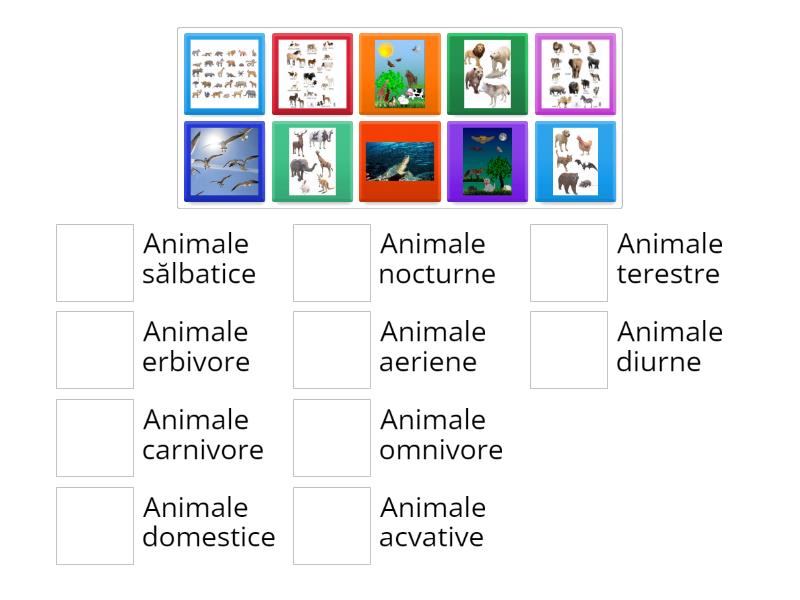 Clasificarea animalelor - Match up