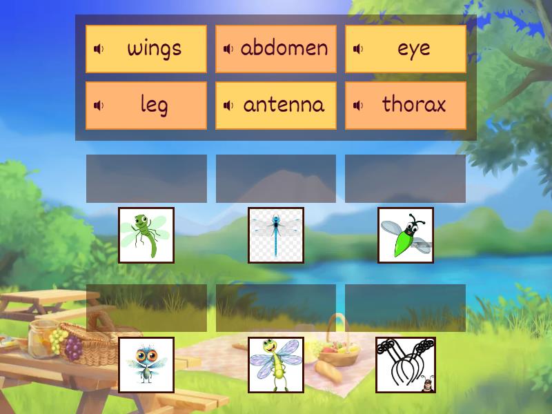 Dragonfly - Match up