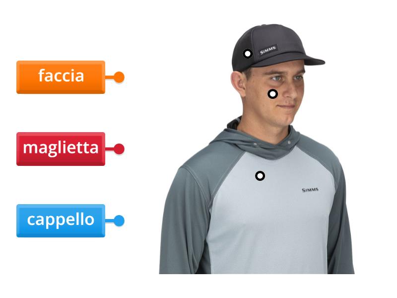 tizio - Labelled diagram