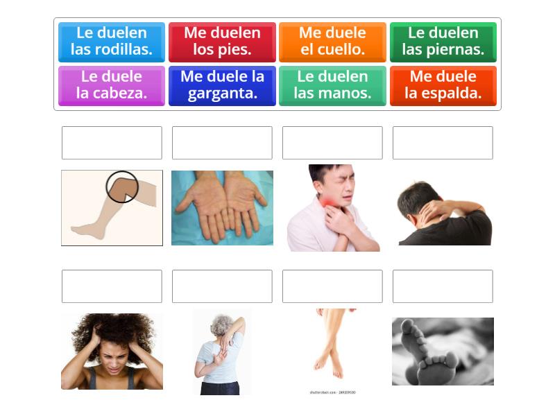 U3 ¿Qué te duele? Lola y Leo 3 - Match up