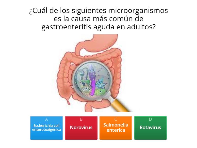 Gastroenteritis infecciosa aguda - اختبار تنافسي