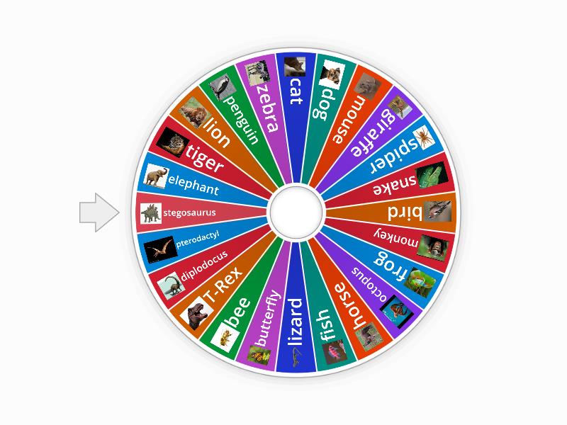 Have you got a pet_Spinner - Spin the wheel