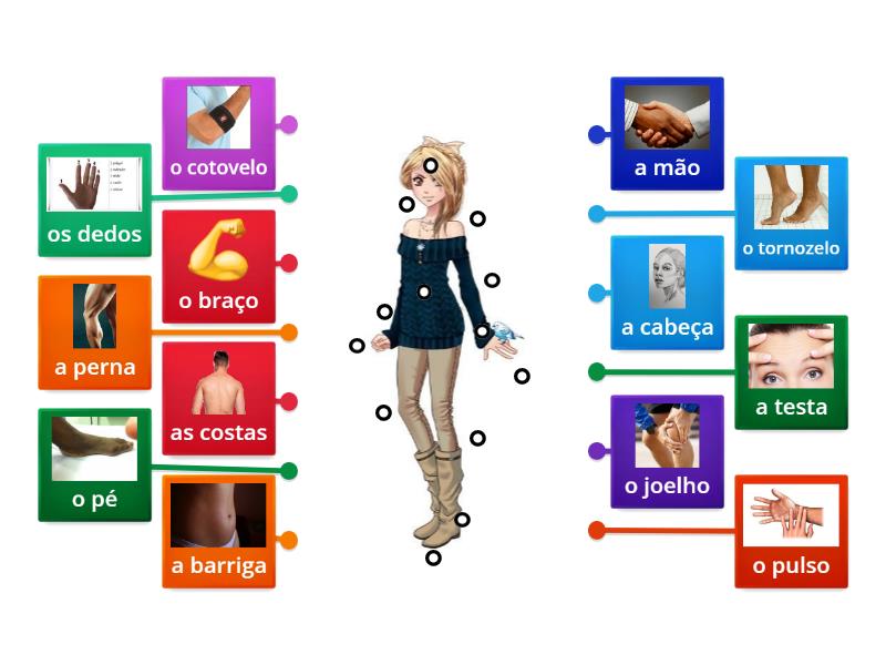 O corpo humano 1 - Labelled diagram