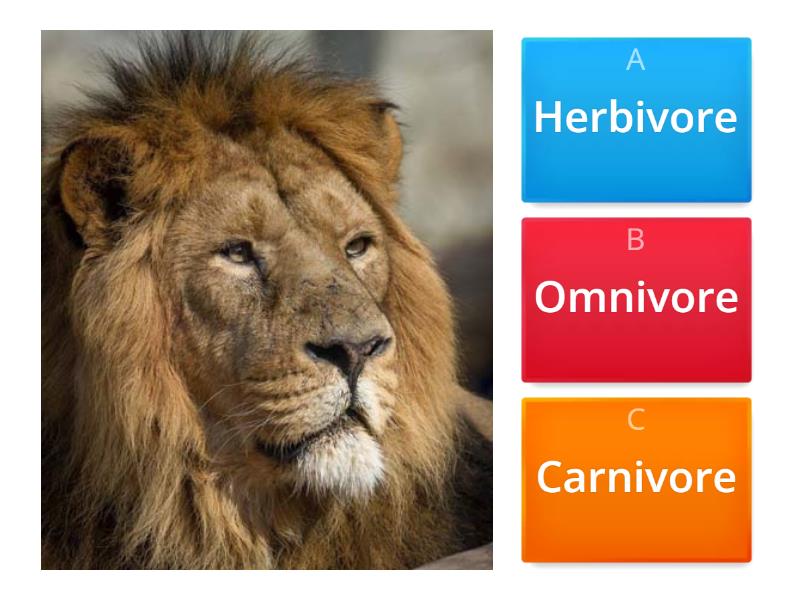 Animal Diet - Herbivore, Omnivore, Carnivore - Quiz