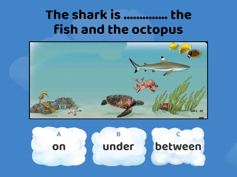JUNIORS 4 - PREPOSITIONS AND SEA ANIMALS - Quiz