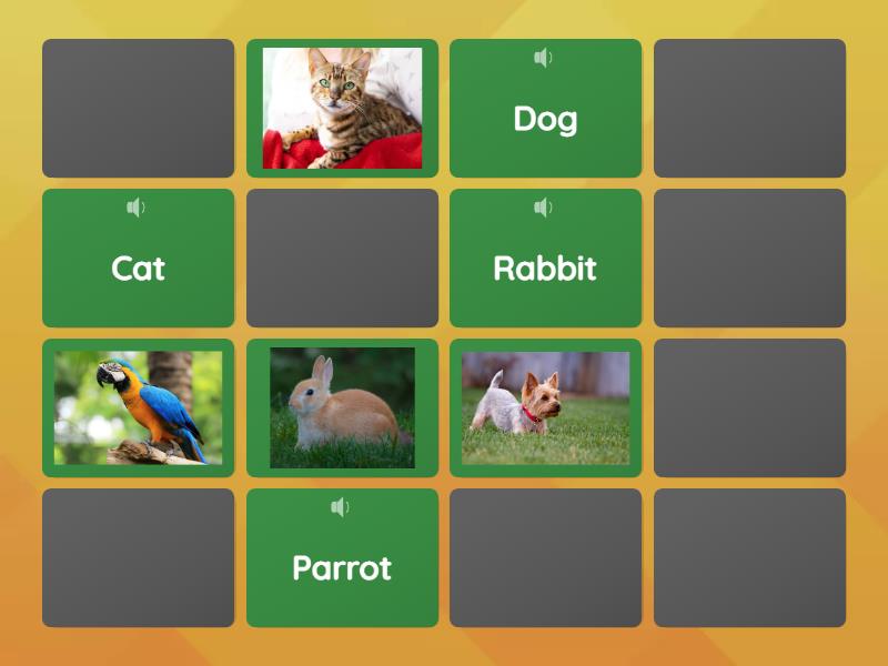 Pets - Matching pairs