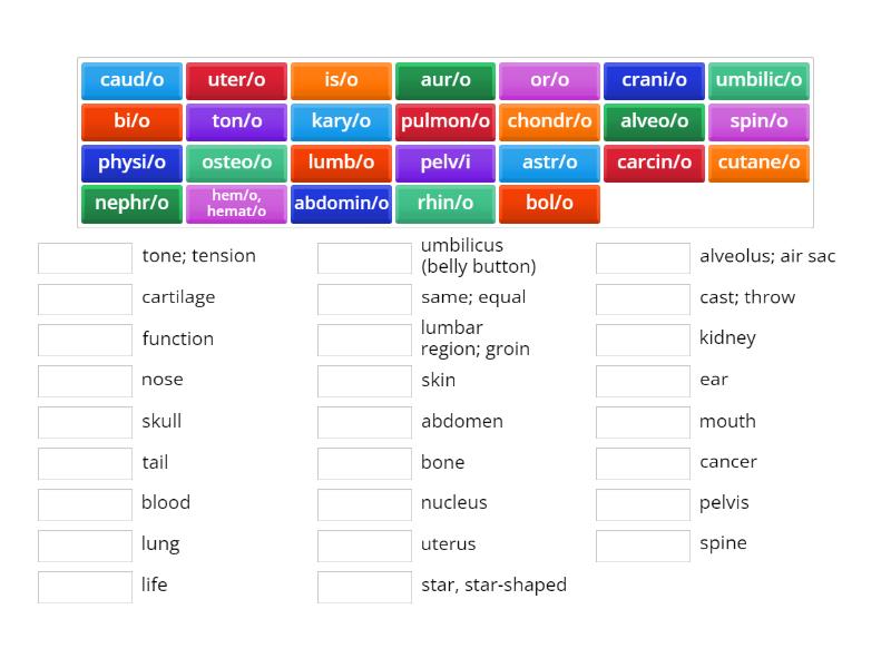 Ch. 1 Combining Forms (Part 2) - Une las parejas