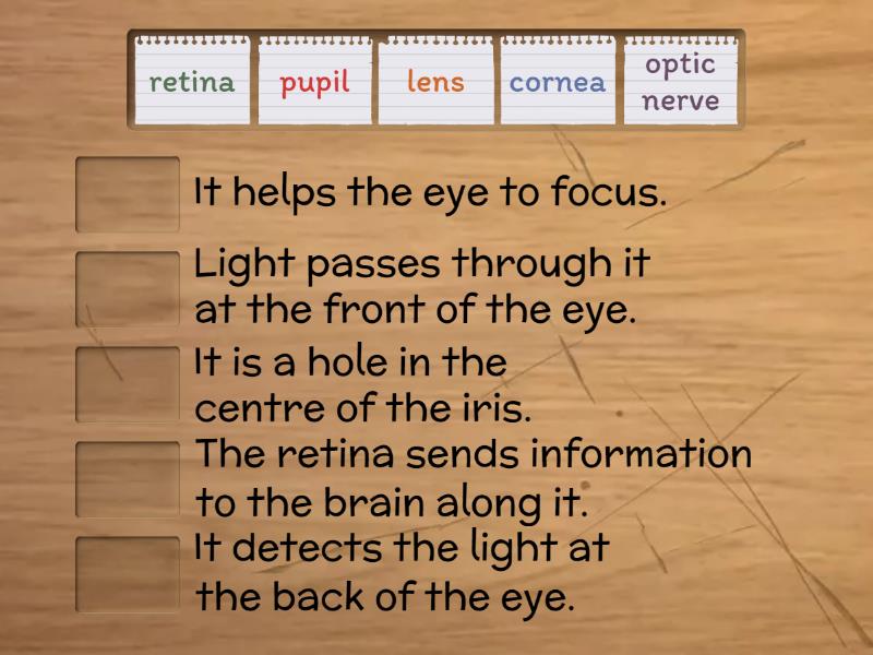 Parts of the eye - Match up