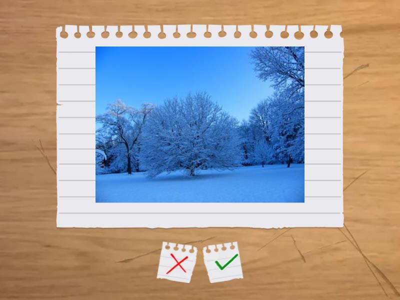 Weather conditions - Flash cards