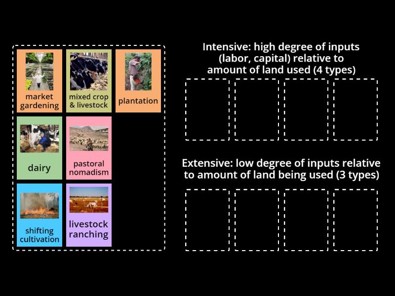 5.1 Intensive vs. Extensive Agricultural Practices - Group sort