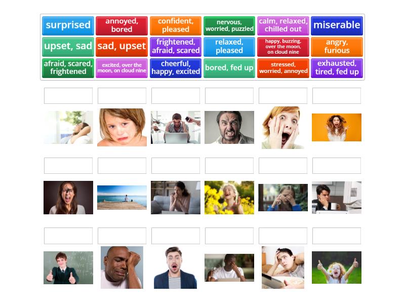 Feelings and emotions - Match up