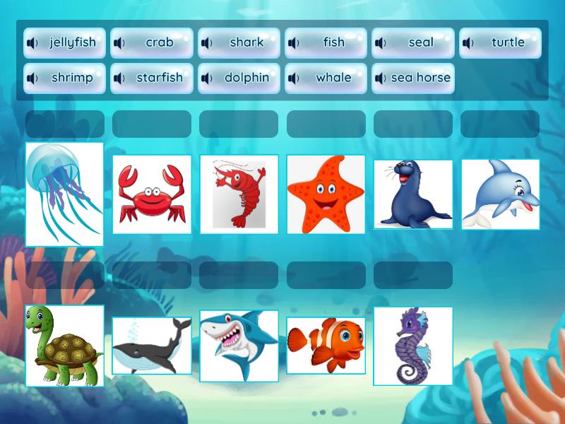Sea animals - Match up