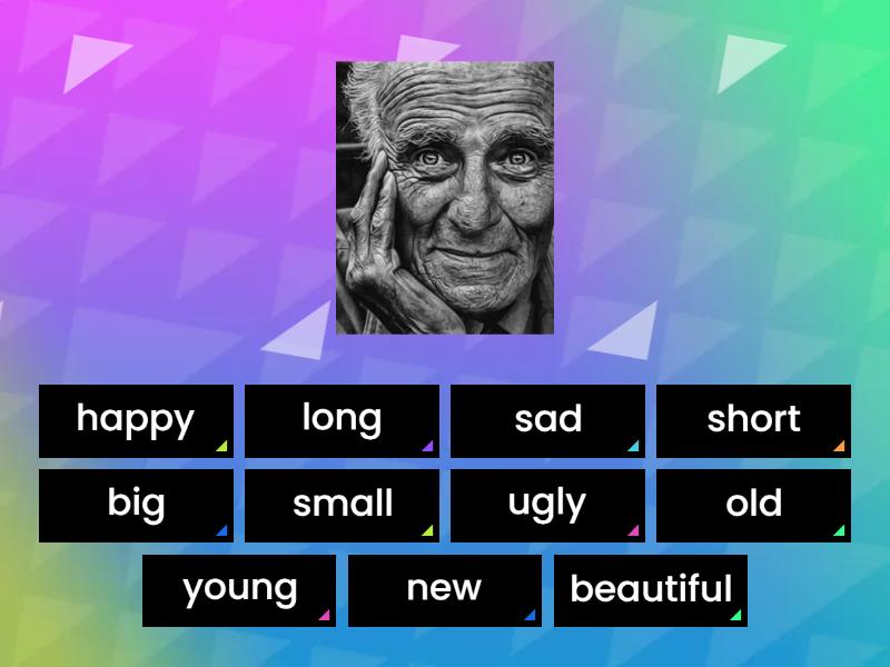 SM1 un 2 adjectives - basic set - Find the match