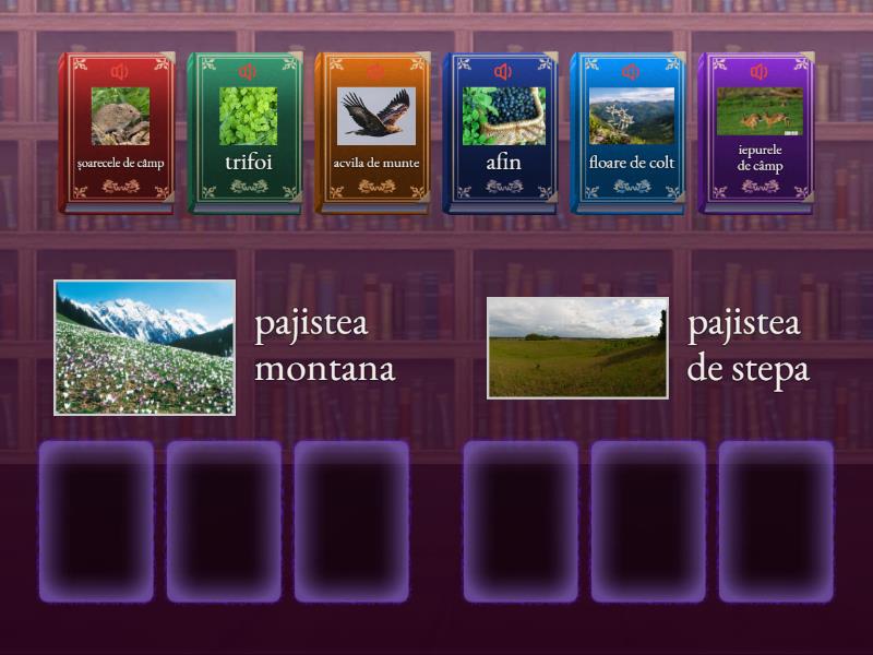 Pajiștea - fauna&flora - Group sort