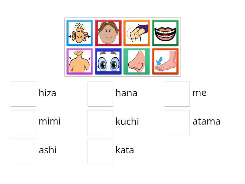 Body Part Vocab Romaji - Match up