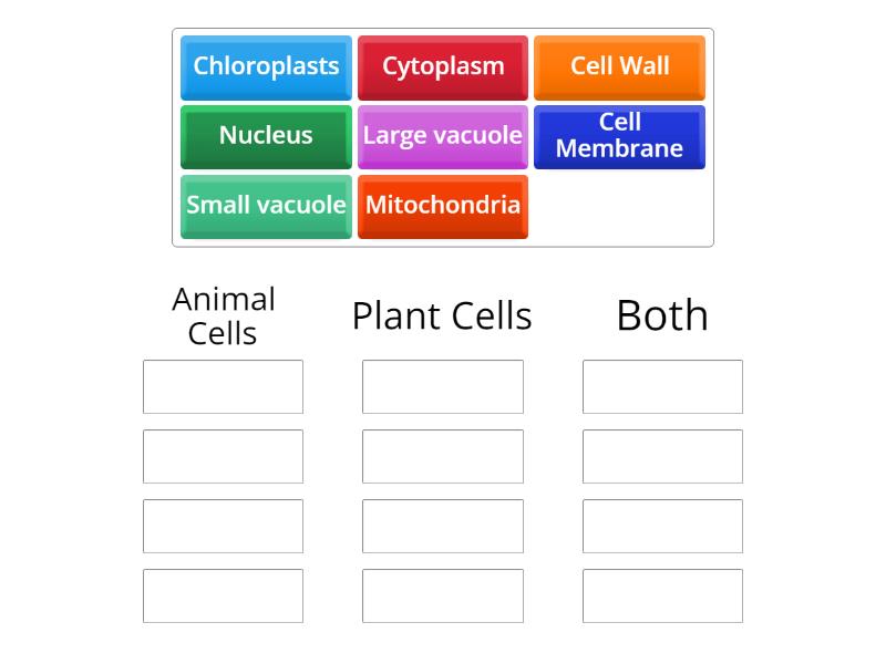 Animal v Plant Cells - Group sort