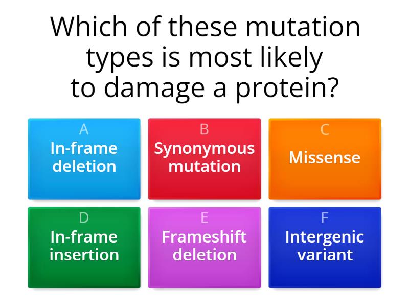 Answer these questions about mutation types - mutation types part 2 - Quiz