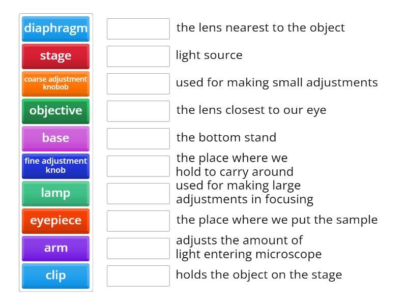 function of different part of microscope - Match up