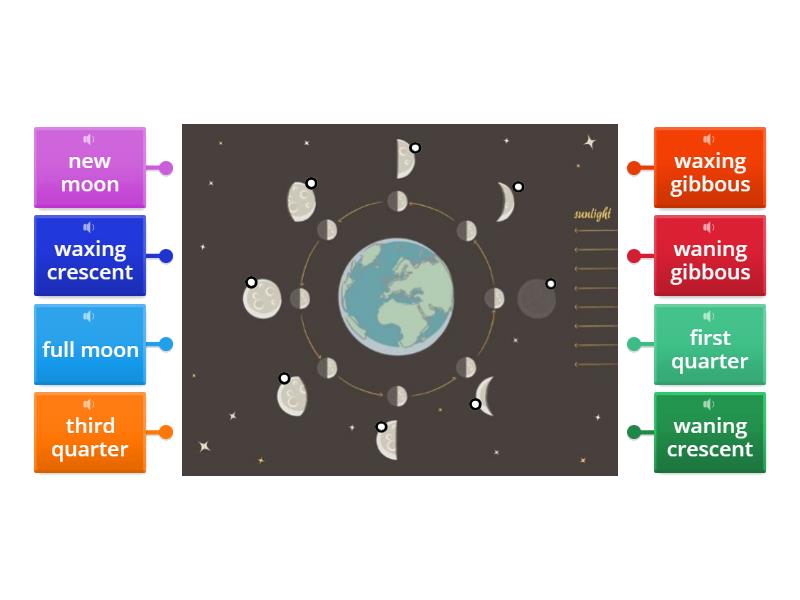 Moon Phases Vocabulary - Labelled diagram