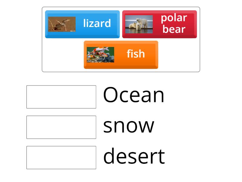 Adaptation - Match up