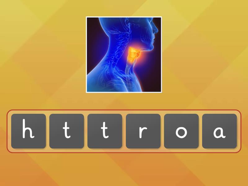 Body parts - words - Anagram