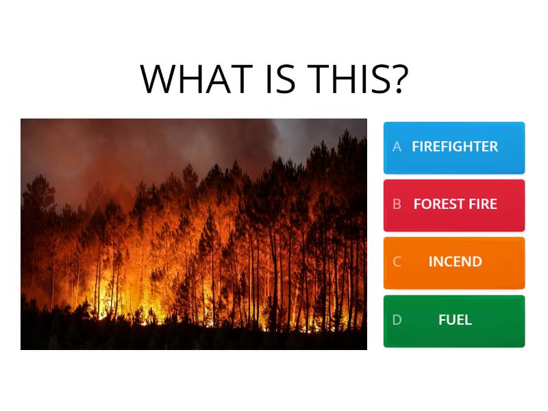 CUESTIONARIO NATURAL DISASTERS - Quiz