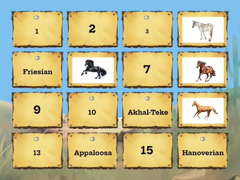 Horse breeds - Matching pairs