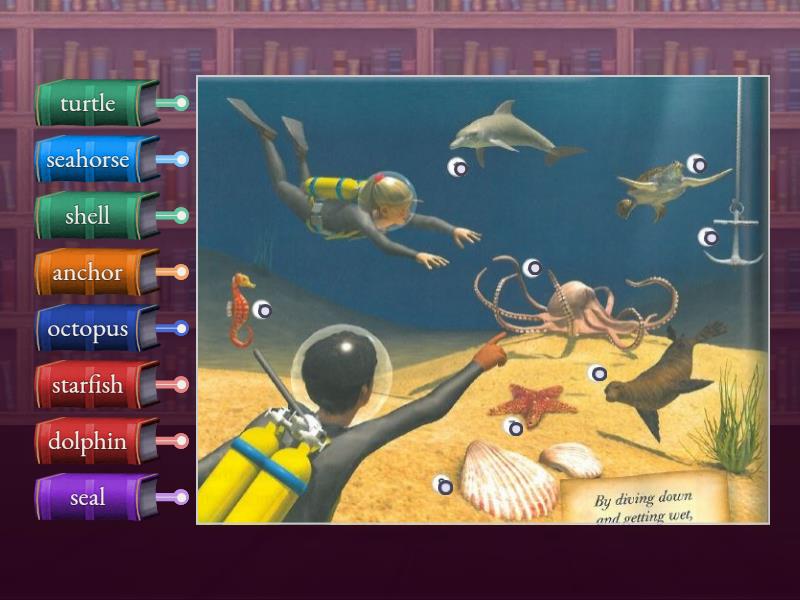 Sea animals, Vocabulary - Labelled diagram