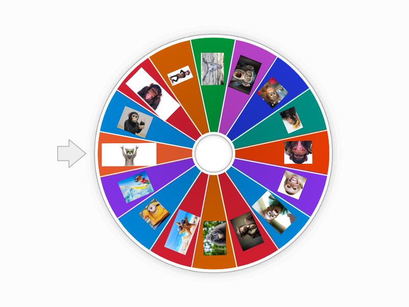 the monkey - Spin the wheel