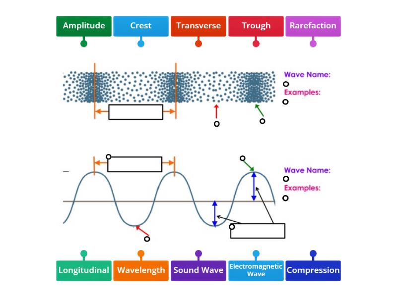 Label the Parts of a Wave - Labelled diagram