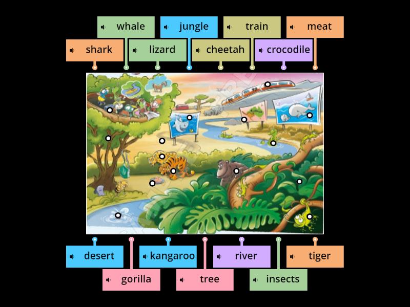 Bugs World 3 Unit 1 (vocabulary) - Labelled diagram