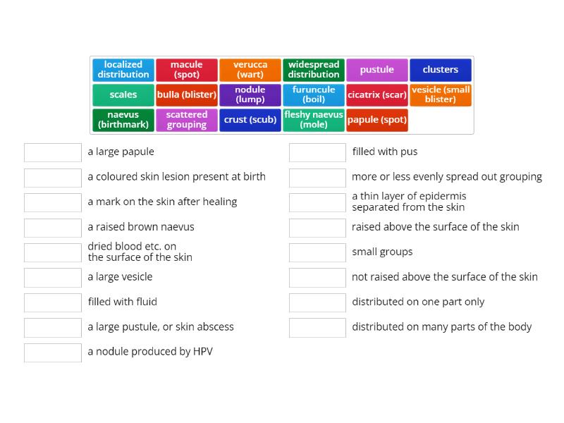 types of skin lesion - Match up