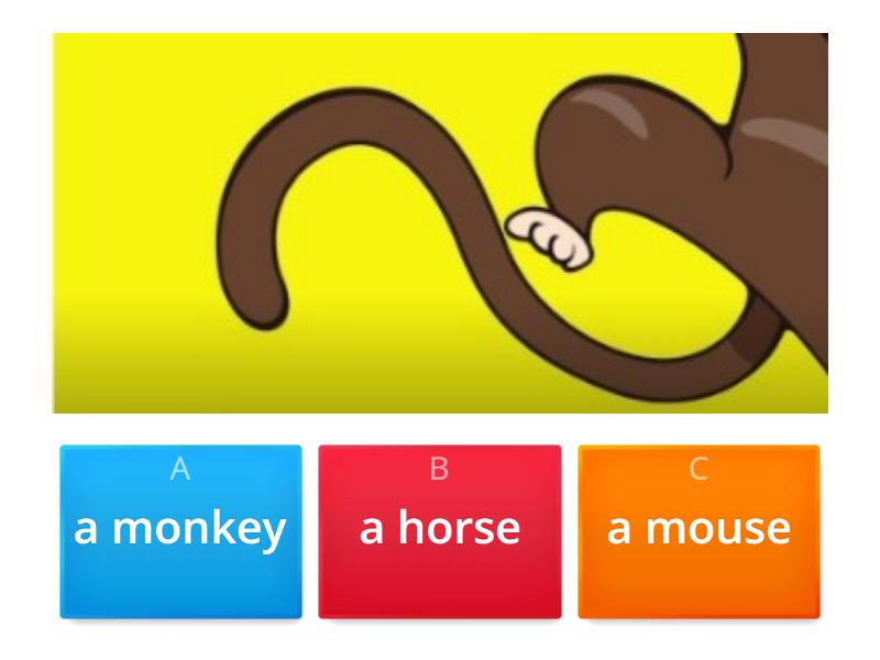 Game - whose tail? - Quiz