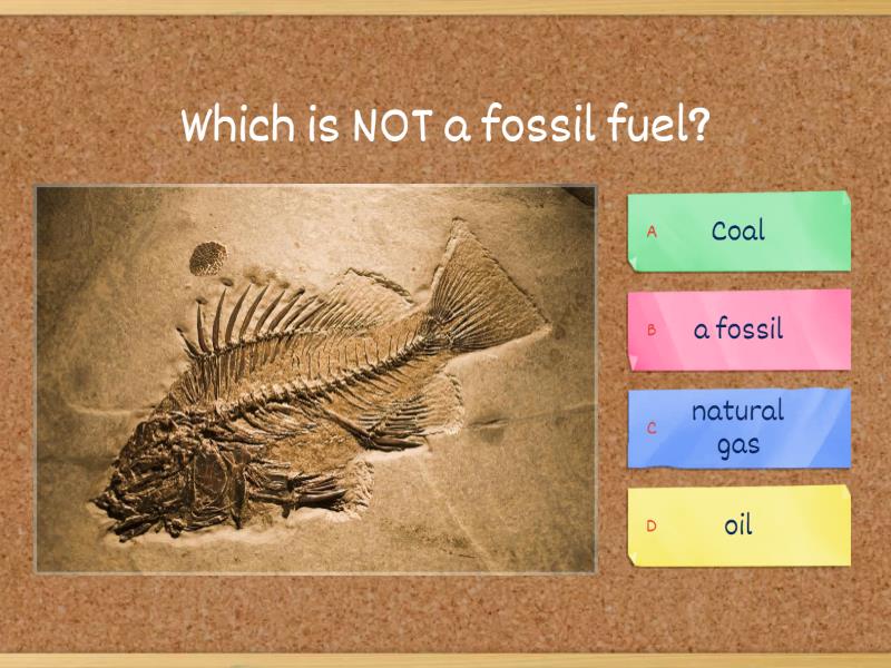 Fossils and Fuels - Quiz