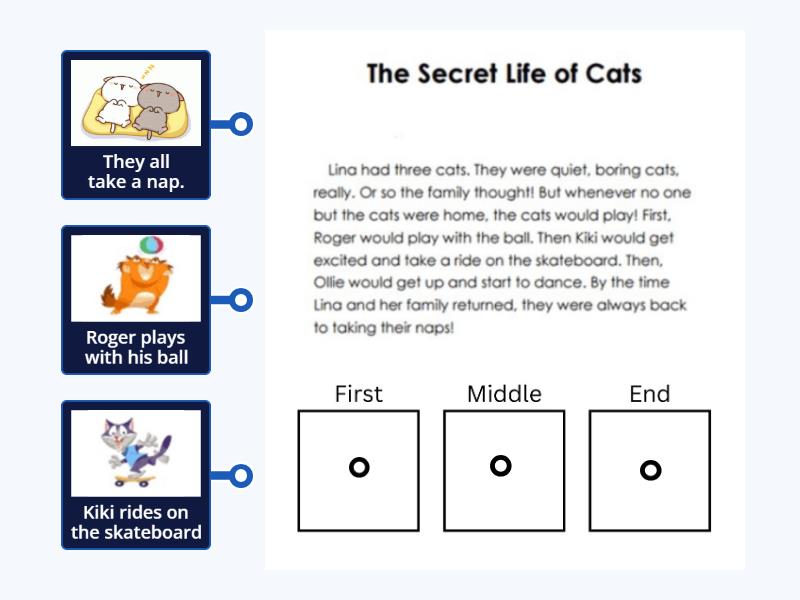 The Secret Life of Cats - Labelled diagram