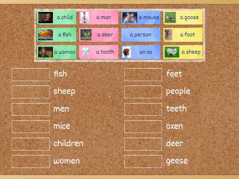 Irregular Plural Nouns - Match up