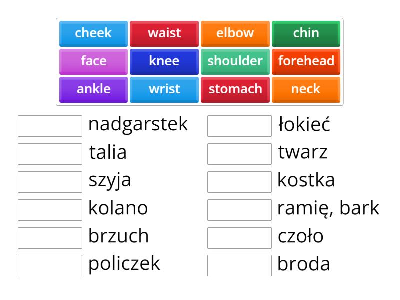 parts of the body macmillan - Match up