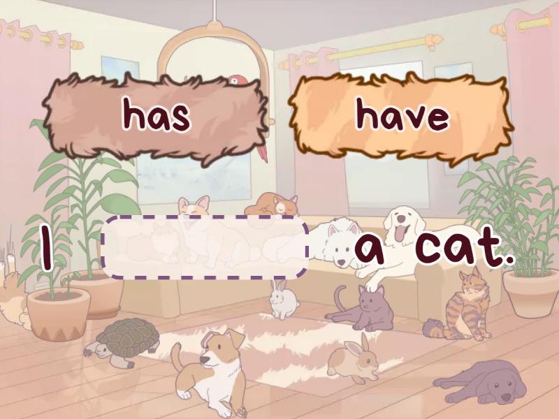 Have | Has - Positive & Negative (+-) - Complete the sentence