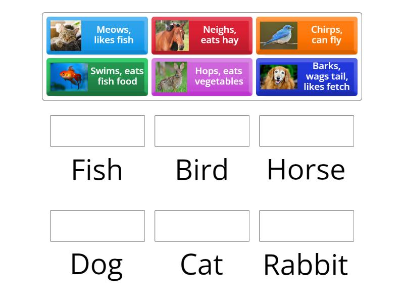Wordwall Matching Practice Match Up