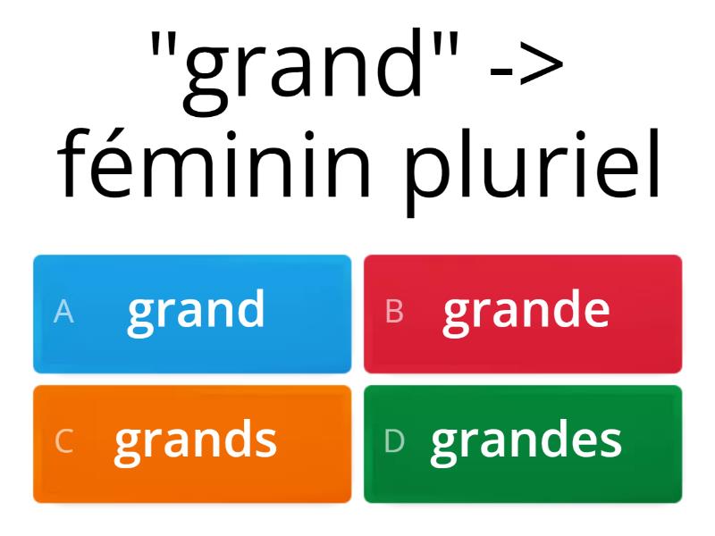 L'accord des adjectifs - Quiz