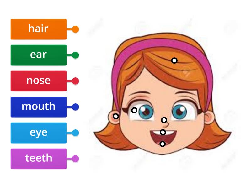 Parts of the face Unit 2 1E4T - Labelled diagram