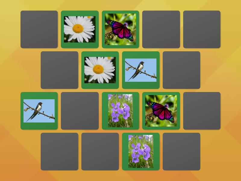 Memory primavera - Matching pairs