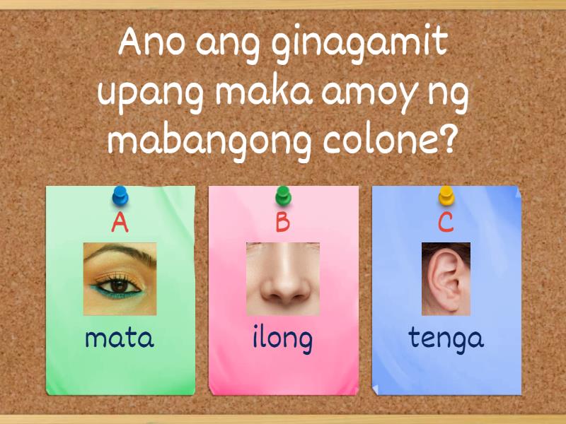 Ang mga Pandama at ang mga gamit nito - Questionário